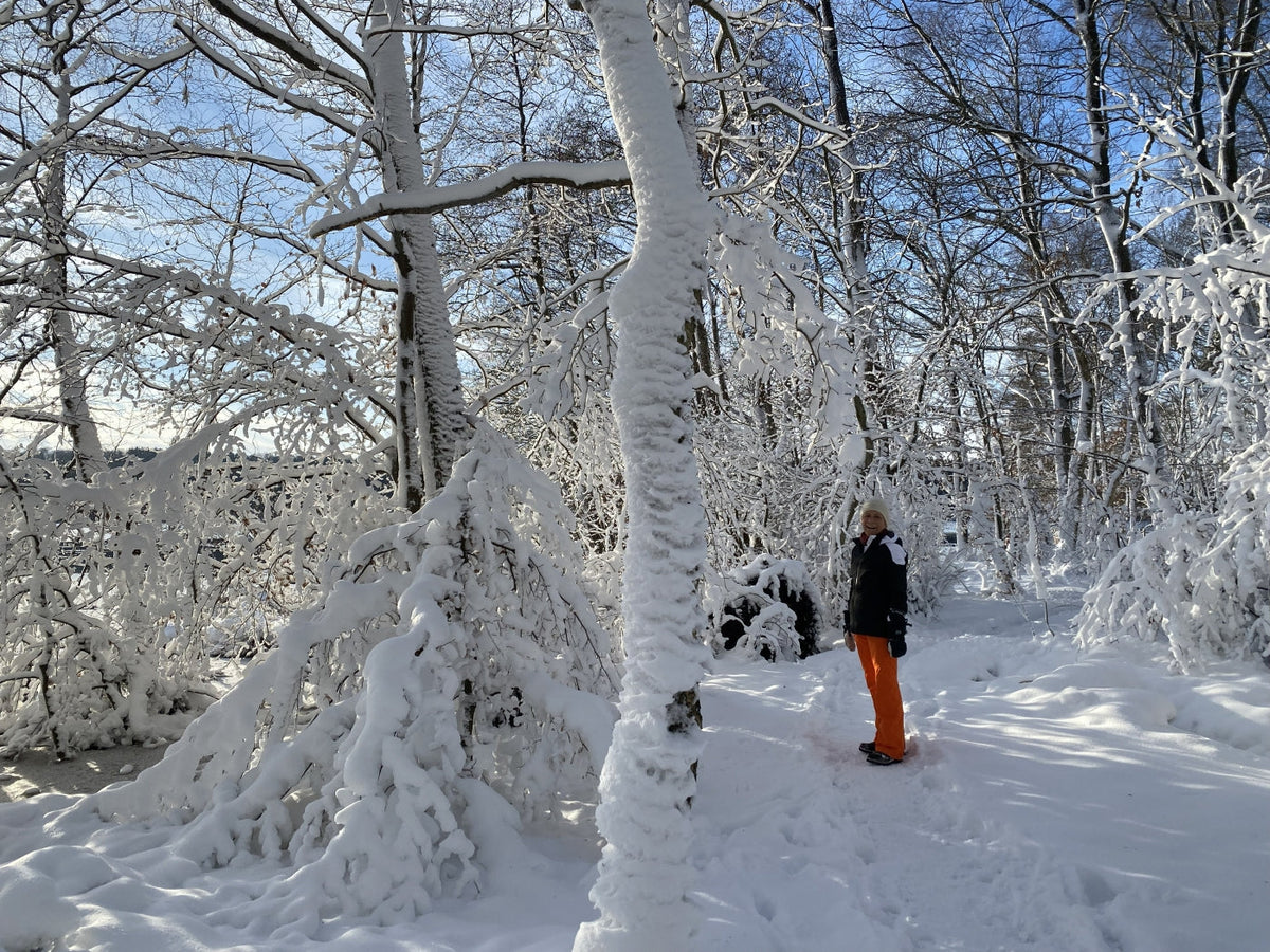 Why Winter Environments Are Surprisingly Noisy – And How It Affects Yo